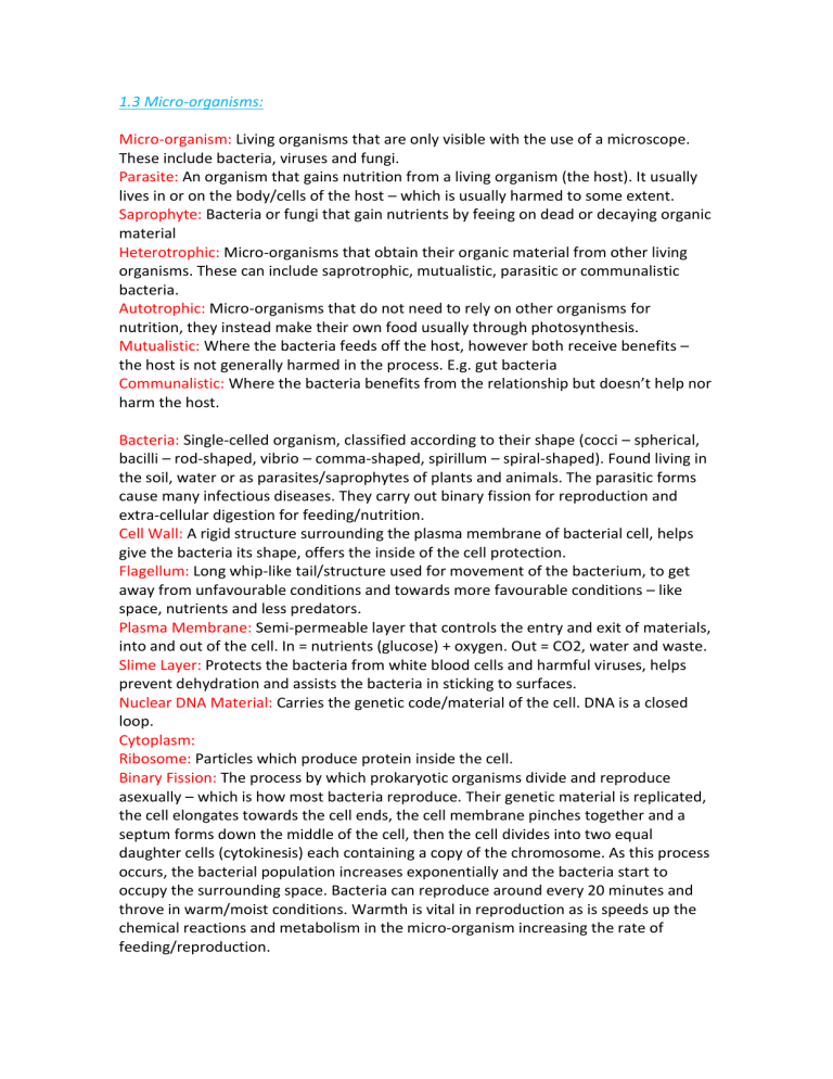 Microorganisms: Bacteria, Fungi, and Life Processes