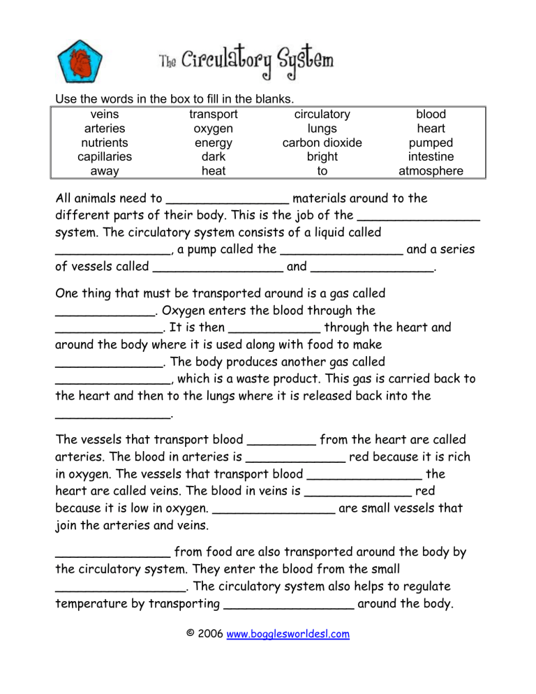 Circulatory System Worksheet: Fill-in-the-Blanks