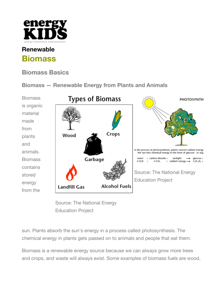 Biomass: Renewable Energy from Plants and Animals