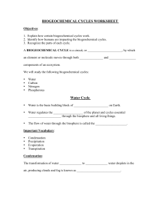 Biogeochemical Cycles Quiz: Nitrogen, Phosphorus, Carbon, Water