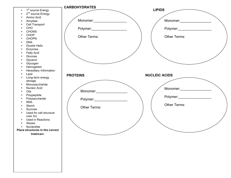 Macromolecules Worksheet: Carbohydrates, Lipids, Proteins, Nucleic Acids