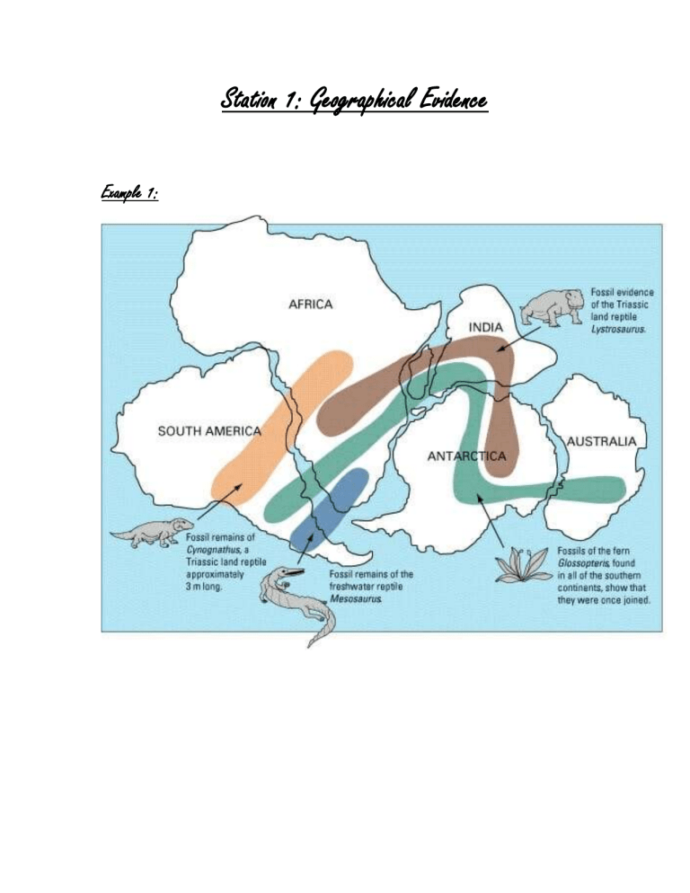 Geographical Evidence for Evolution Worksheet