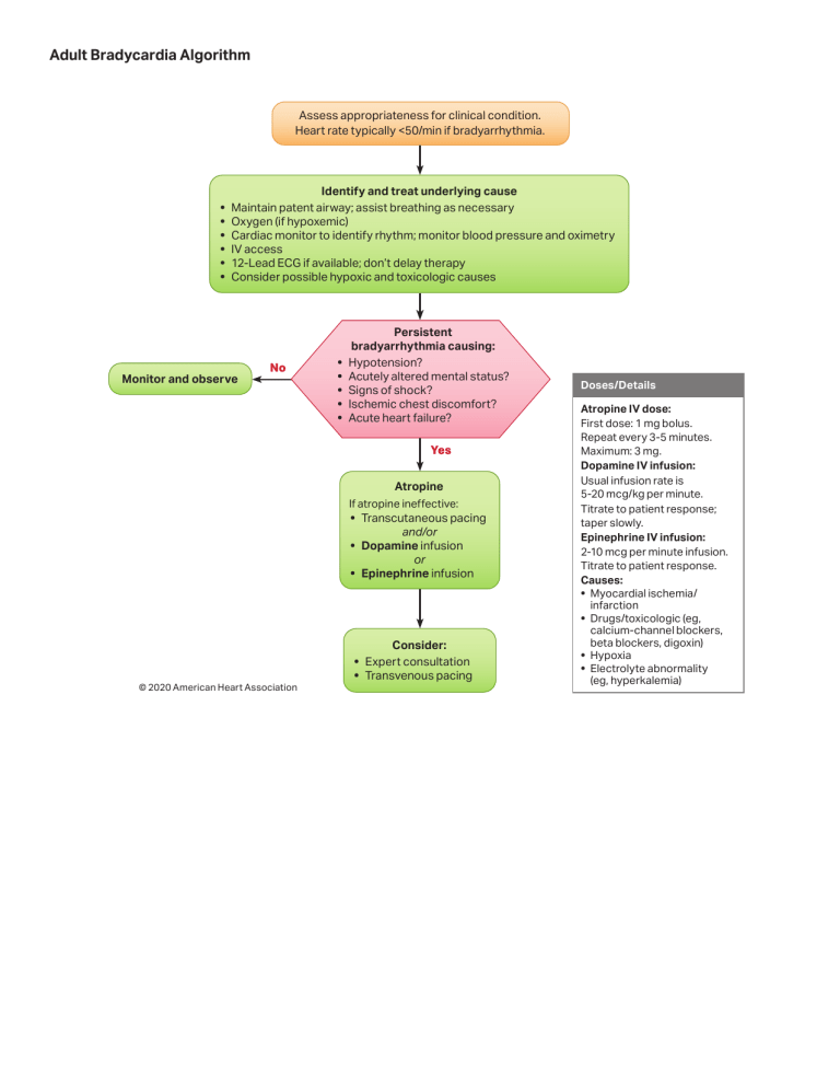 Adult Bradycardia Algorithm