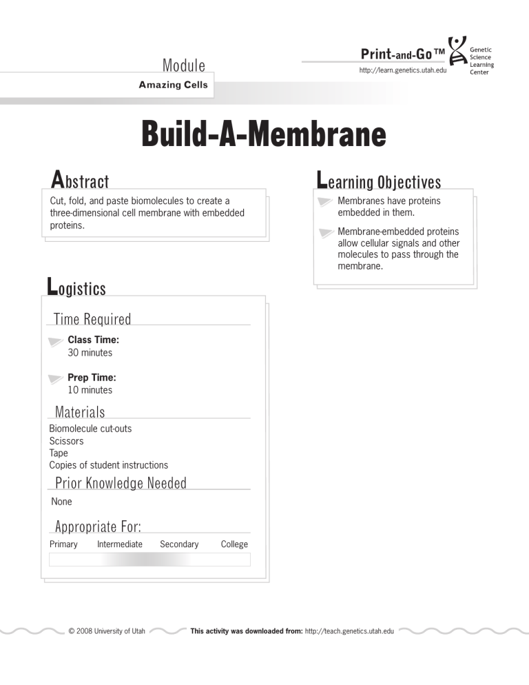Build-A-Membrane: Cell Structure Activity