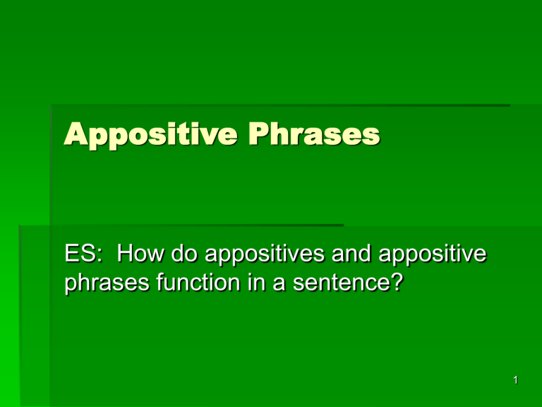 Appositive Phrases: Definition & Examples