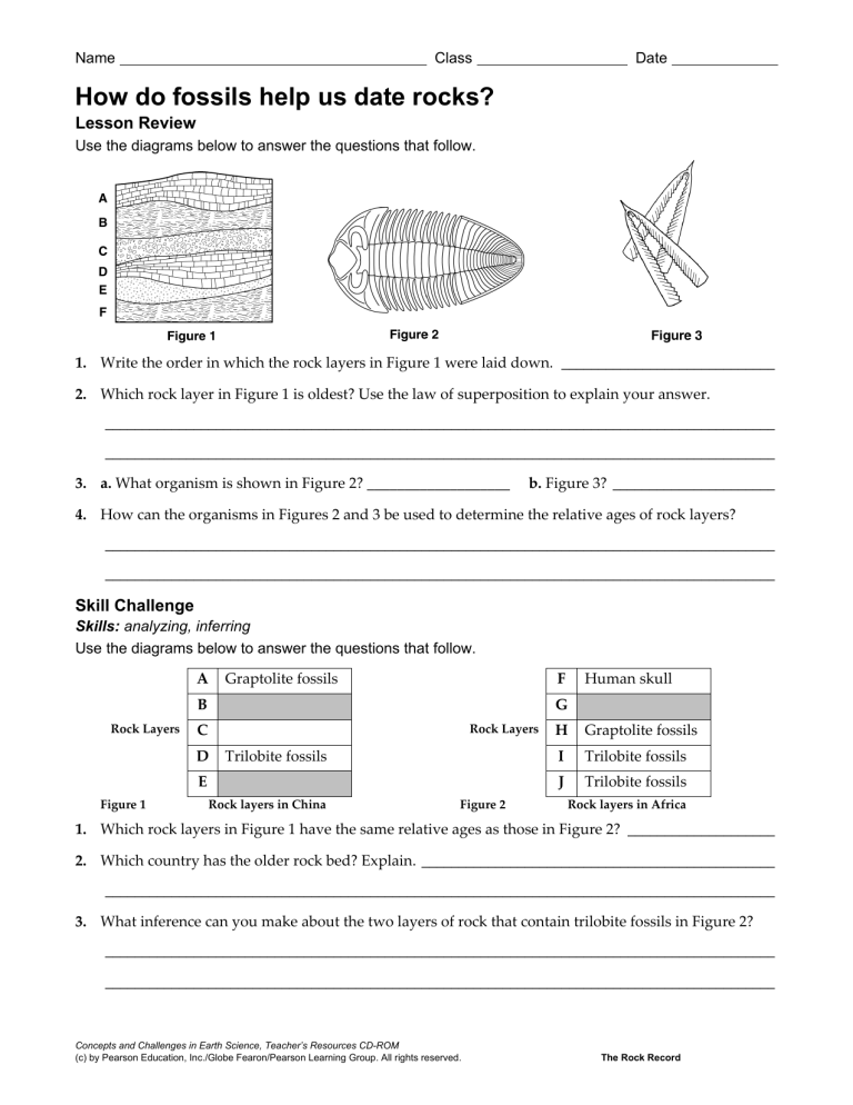 Fossils and Rock Dating Worksheet: Earth Science