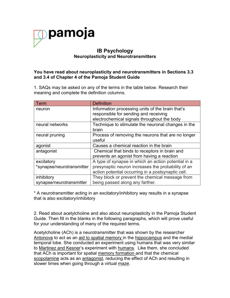 Neuroplasticity & Neurotransmitters Worksheet