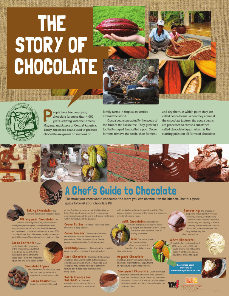The Story of Chocolate: History, Types, and Production