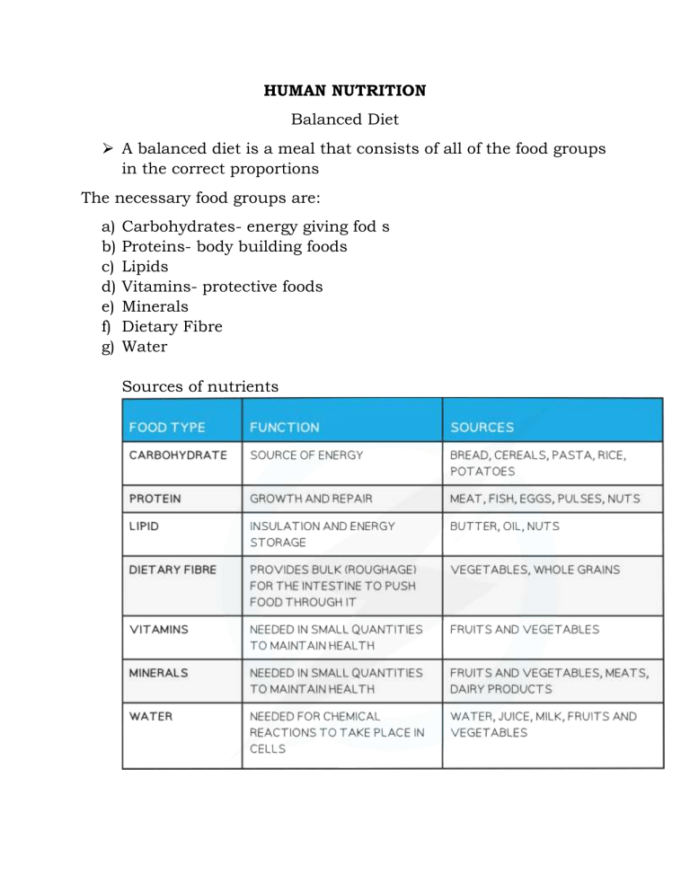 Human Nutrition: Balanced Diet & Digestion Lecture Notes