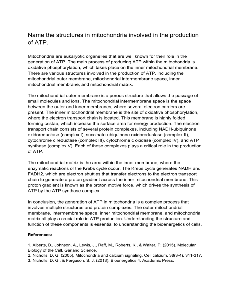 Mitochondria ATP Production: Structures & Processes
