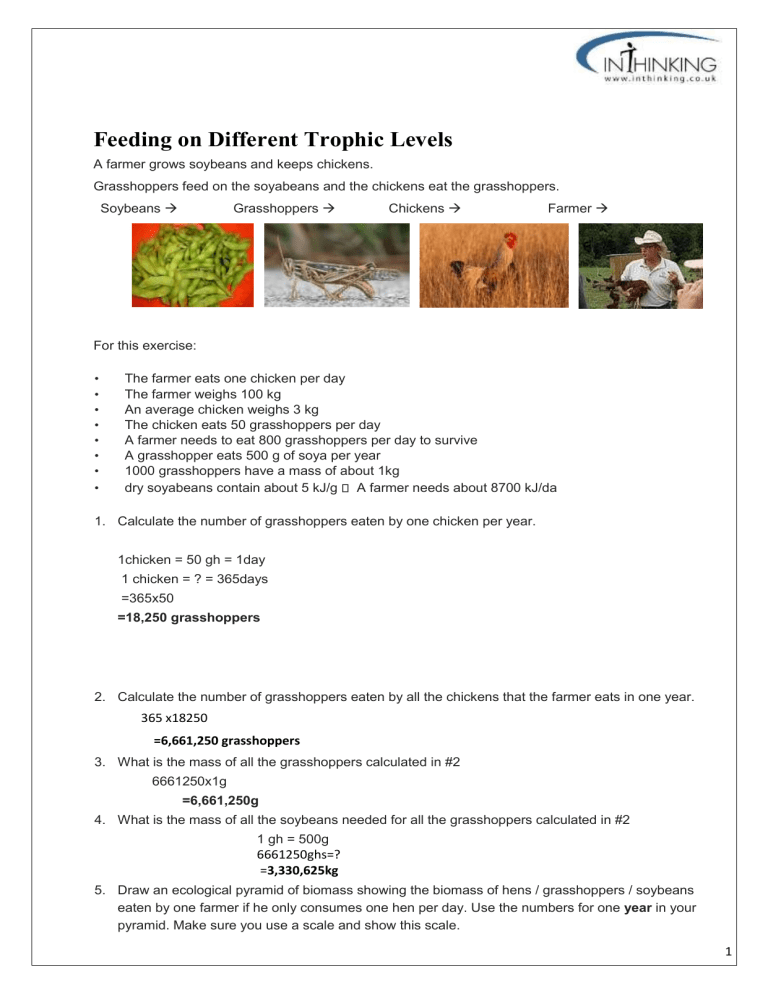 Trophic Levels Worksheet: Food Chain Biomass & Energy