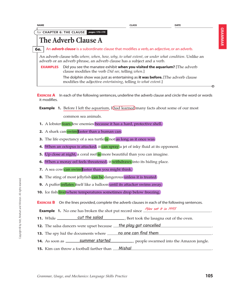Adverb Clauses Grammar Worksheet: Marine Life Theme