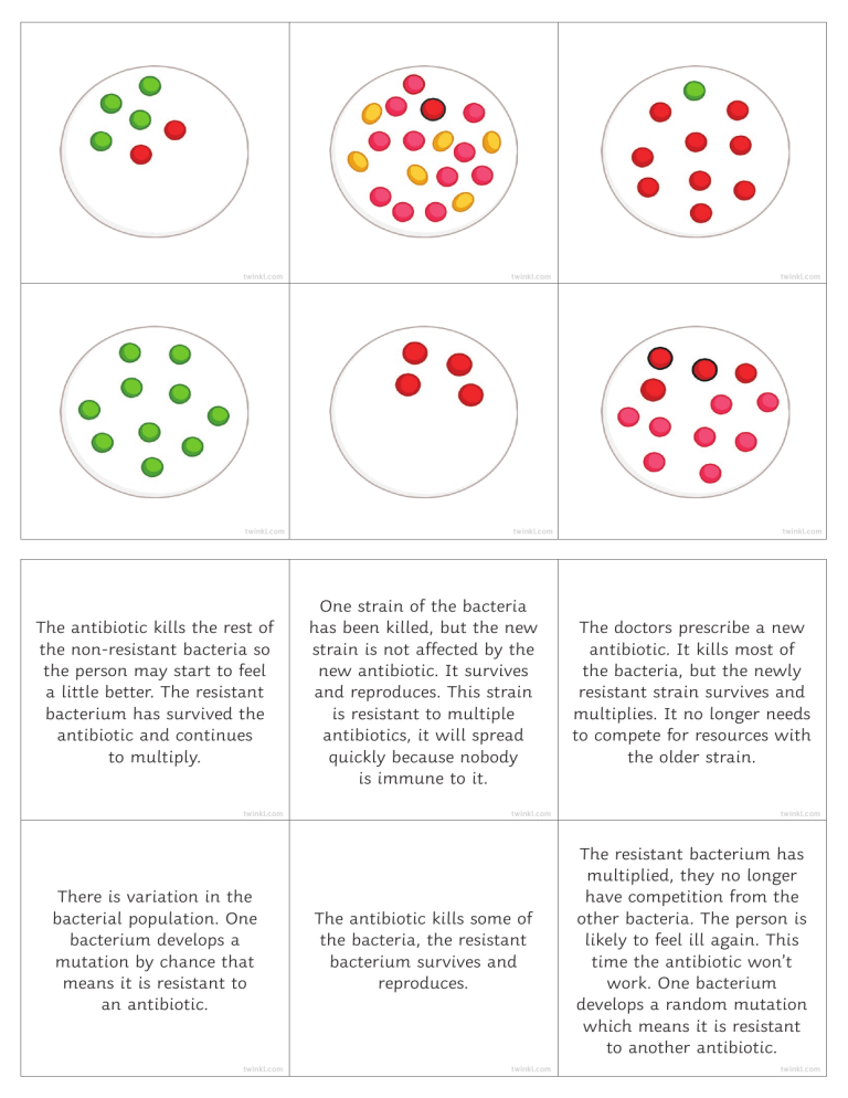 Antibiotic Resistance Worksheet