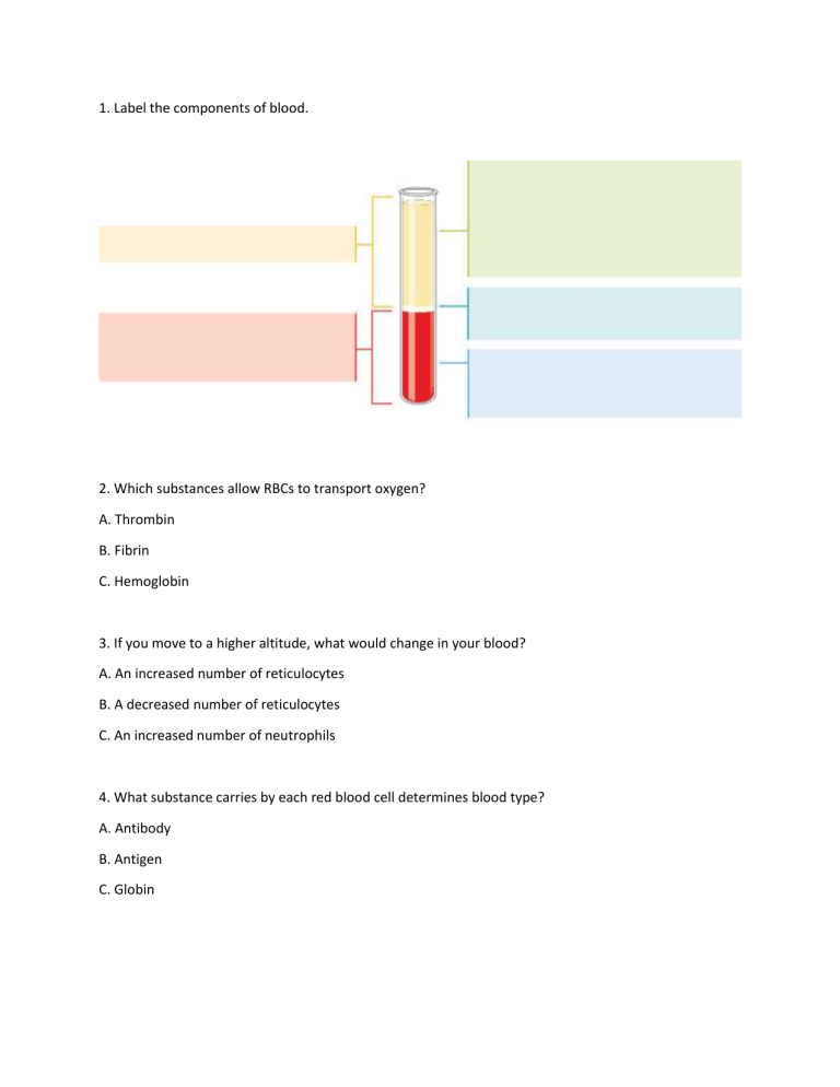 Blood Components & Types Worksheet