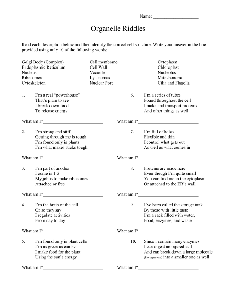 Cell Organelle Riddles Worksheet - Biology