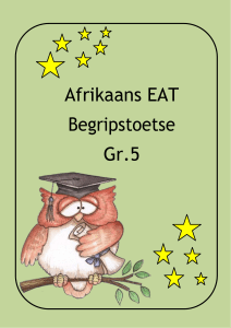 Afrikaans Werkwoordstijden & Leesbegrip Werkblad