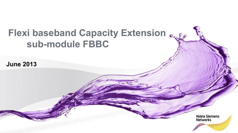 Nokia Flexi FBBC Capacity Extension Sub-Module