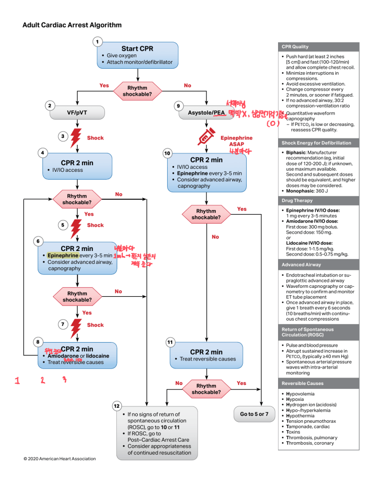 Adult Cardiac Arrest Algorithm | CPR Guide