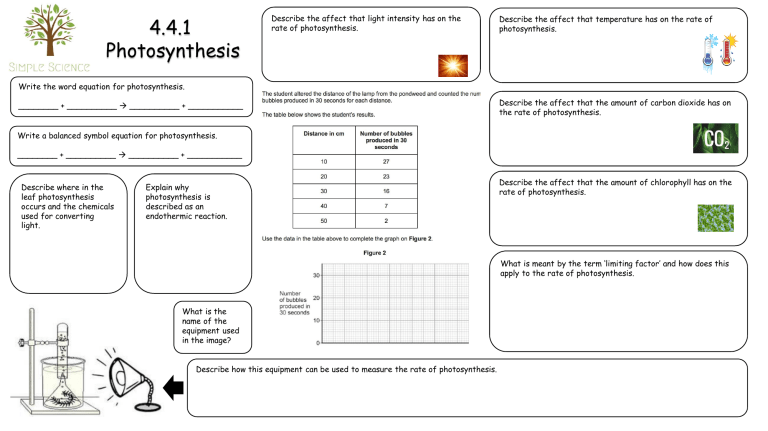 Photosynthesis Worksheet: Equations, Factors, and Experiment