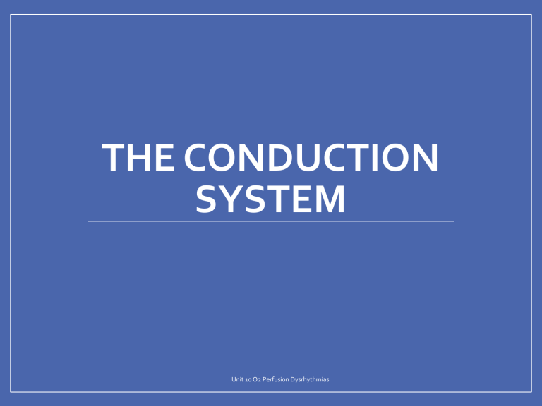 Heart Conduction System & ECG Presentation