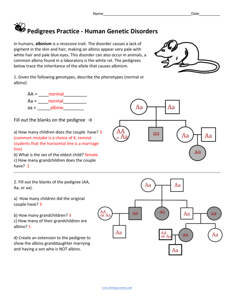 Pedigree Practice: Human Genetic Disorders Worksheet