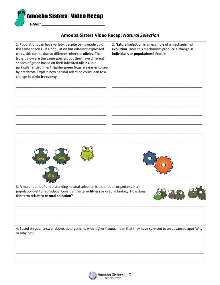 Natural Selection Worksheet: Amoeba Sisters Recap