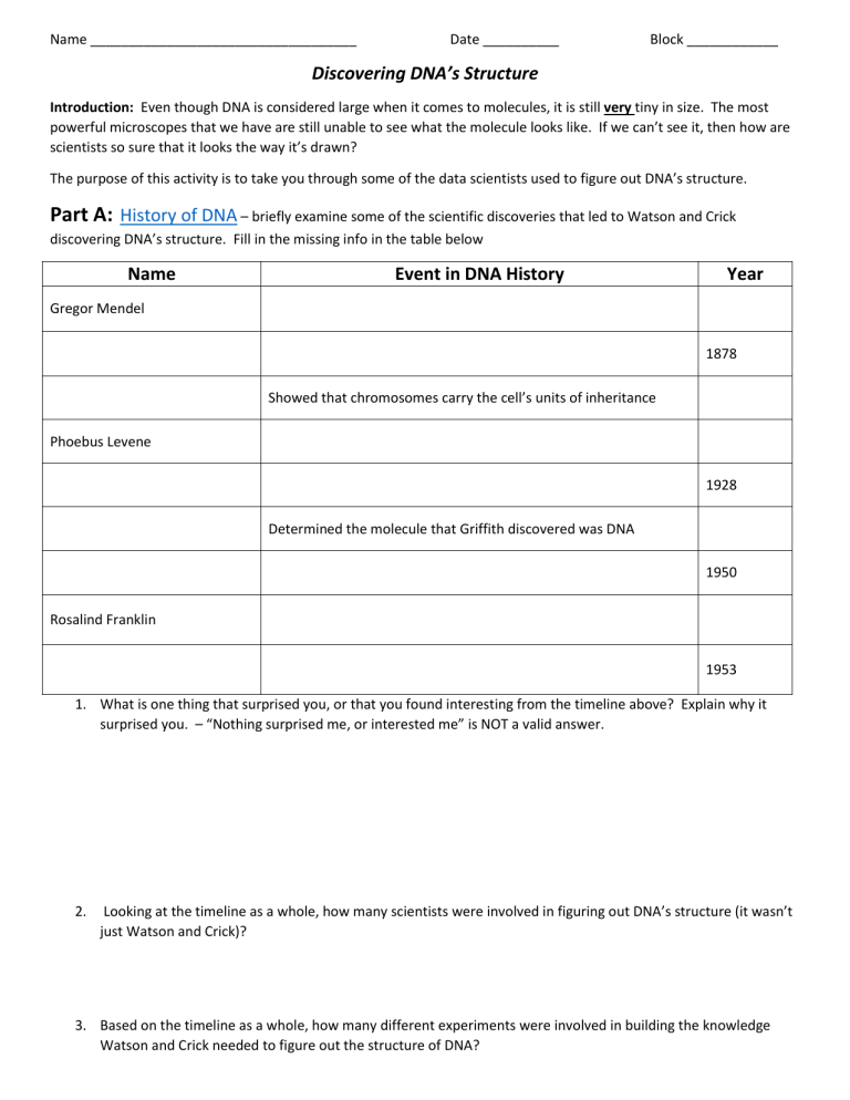 DNA Structure & History Worksheet: Discovering DNA