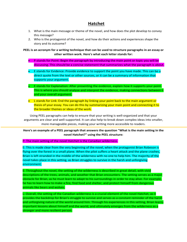 Hatchet Novel Analysis & PEEL Writing Guide