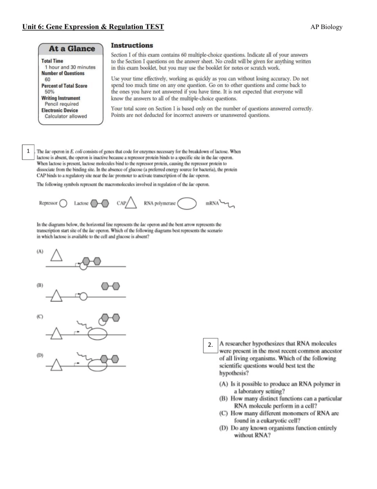 Gene Expression & Regulation AP Biology Test