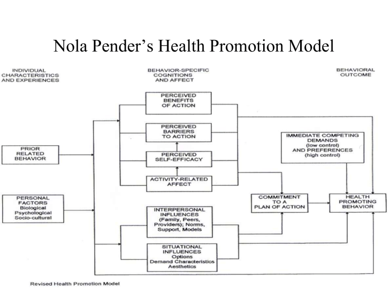 Nola Pender's Health Promotion Model Diagram