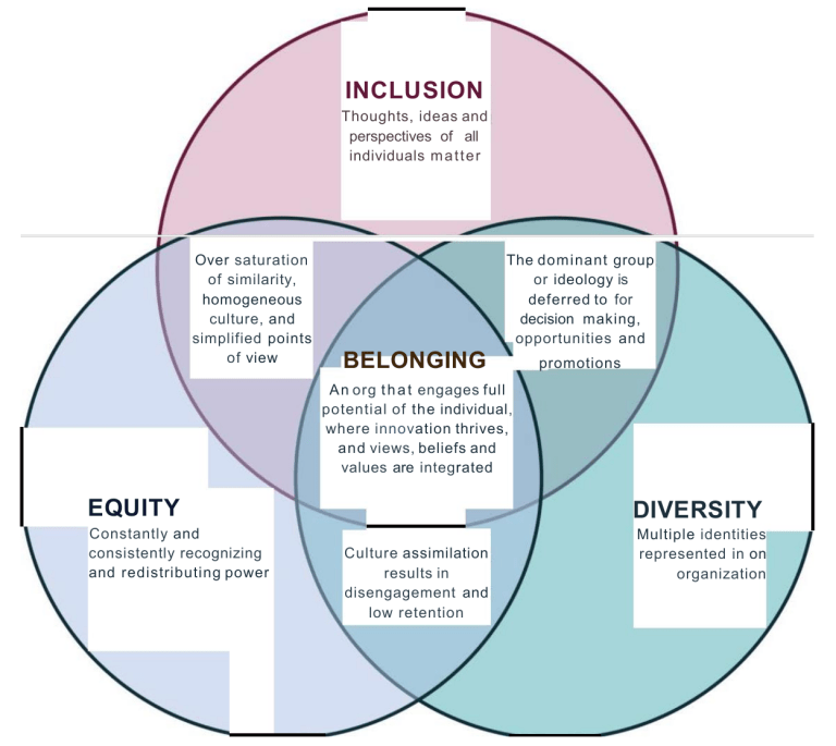 Inclusion, Belonging, Equity, Diversity Diagram