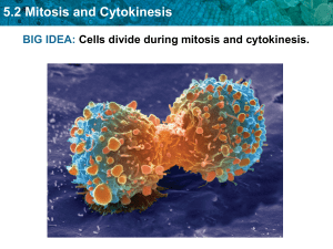 Cell Growth & Division: Class Notes - IPMATC