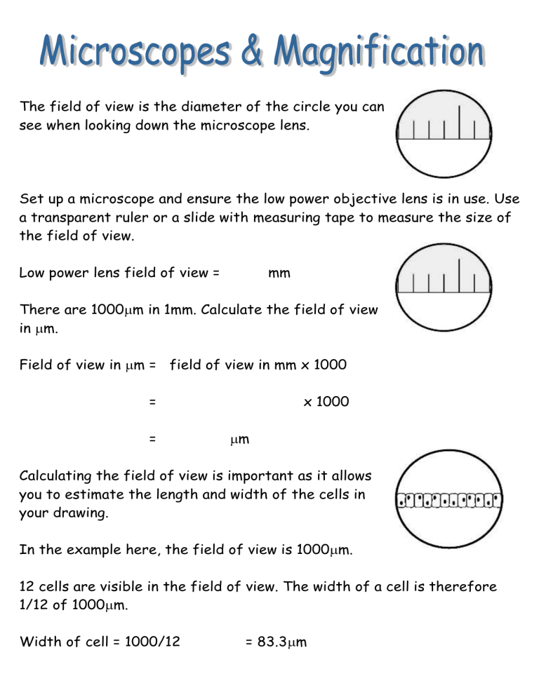 Microscope Field of View & Magnification Worksheet