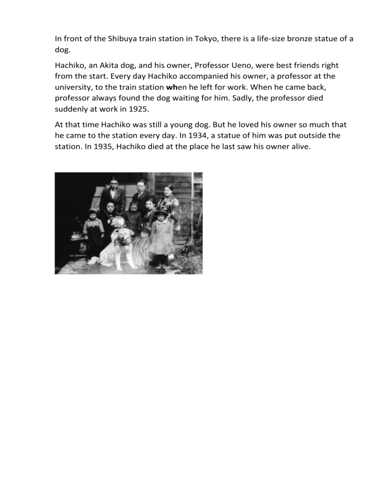 Hachiko: The Loyal Dog of Shibuya