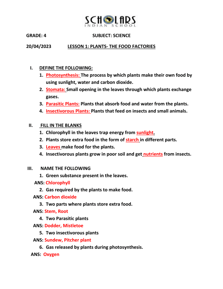 Plants & Photosynthesis Worksheet