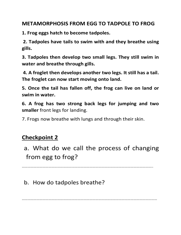 Frog Metamorphosis Worksheet