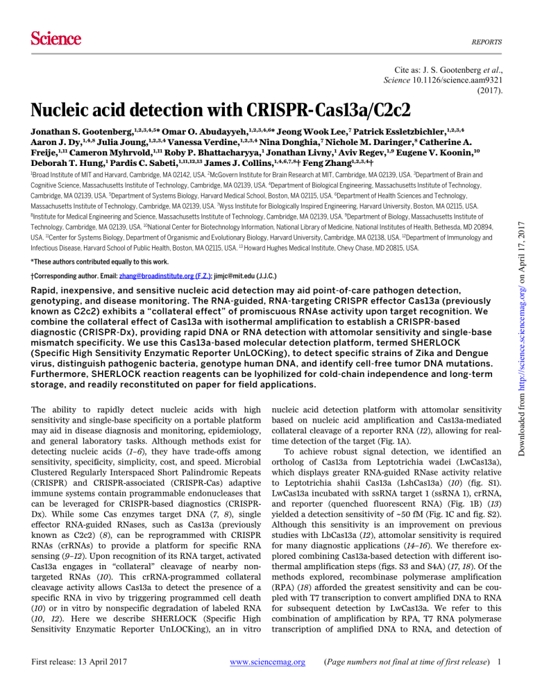 CRISPR-Cas13a Nucleic Acid Detection: SHERLOCK Platform