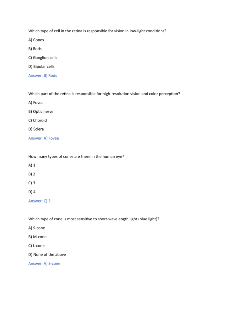 Retina Cell Function Test Questions