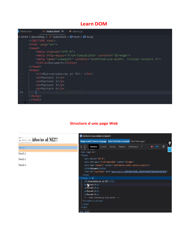 Learn DOM: Web Development Tutorial