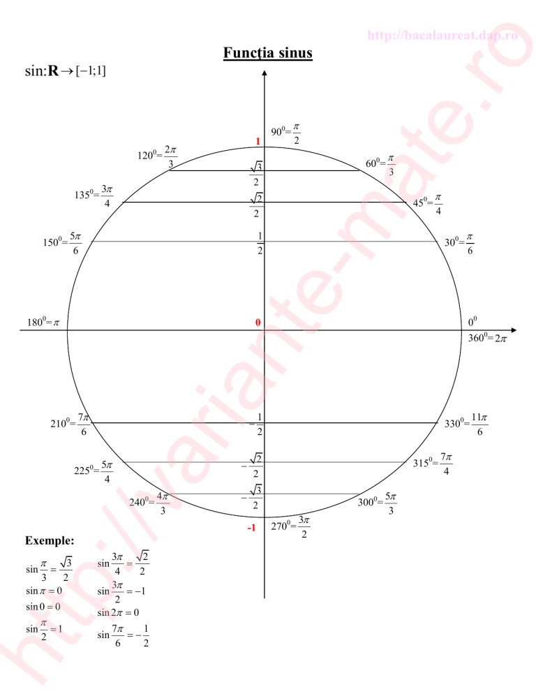 Sine Function Worksheet: Unit Circle & Values