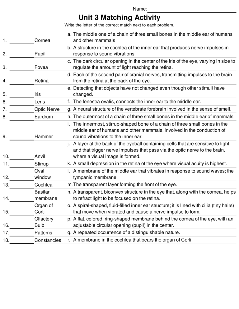 Eye and Ear Anatomy Matching Worksheet