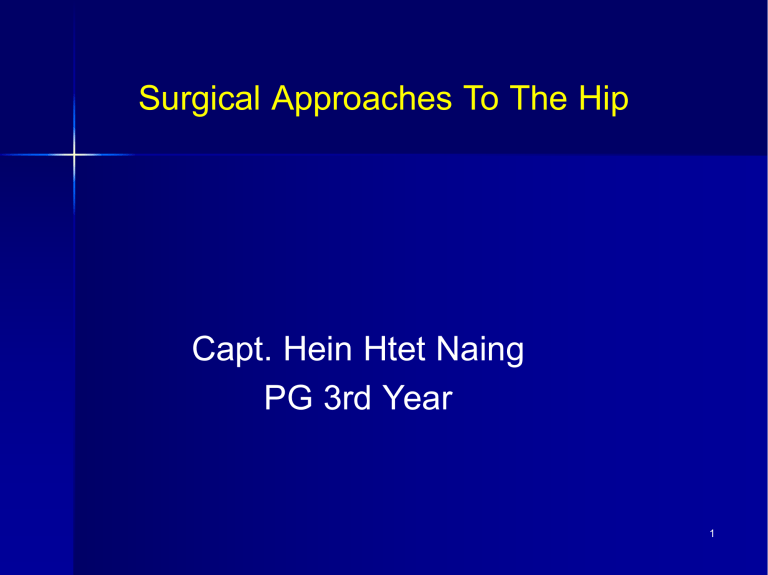 Surgical Approaches to the Hip: A Comprehensive Overview