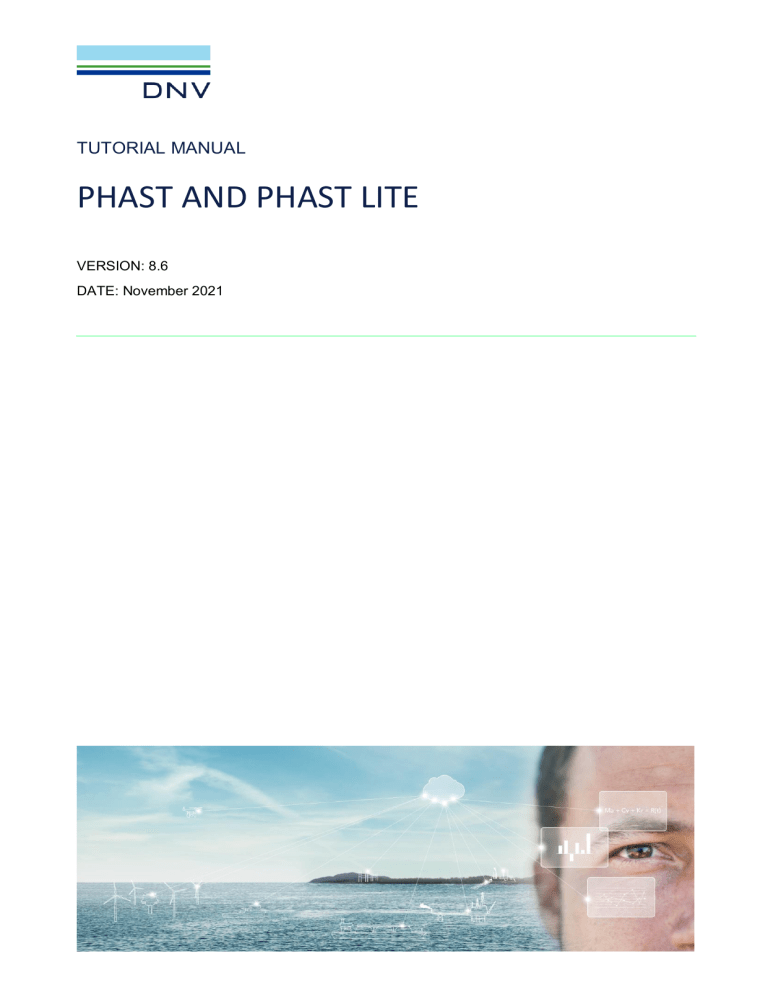 Phast & Phast Lite Tutorial Manual v8.6