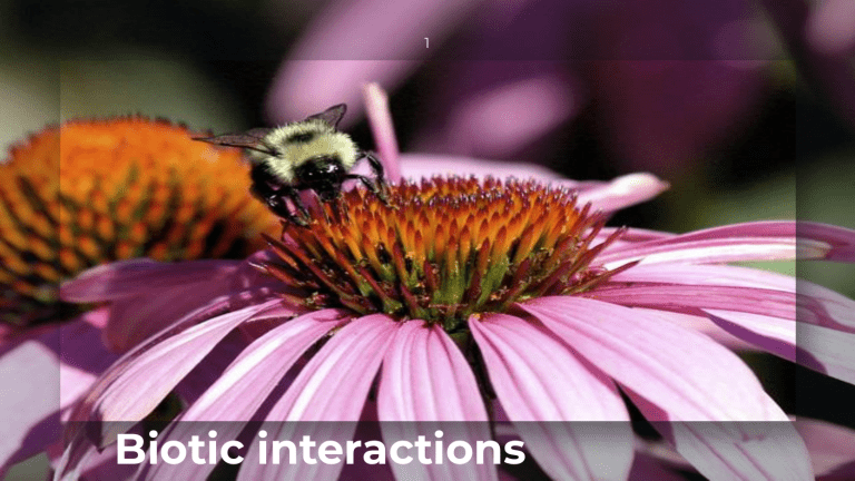 Biotic Interactions: Ecology Presentation