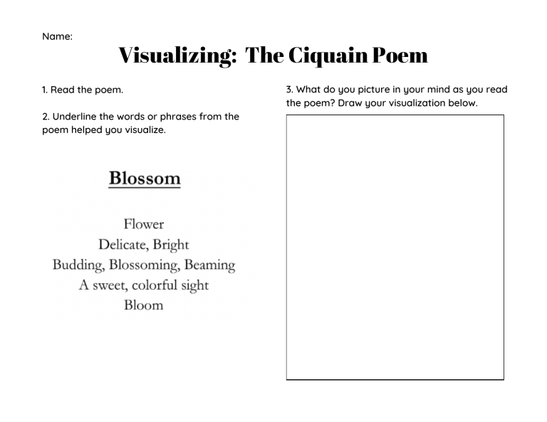 Visualizing a Cinquain Poem Worksheet