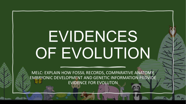 Evidences of Evolution: Fossils, Anatomy, Embryos, Genetics