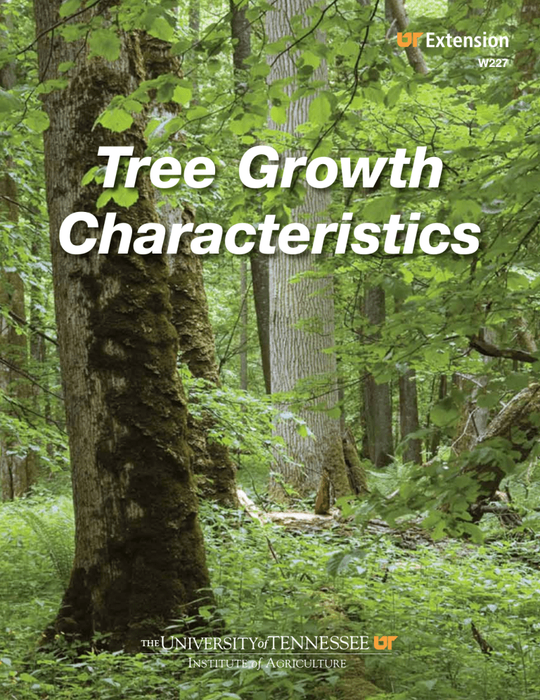 Tree Growth Characteristics: A Forestry Guide
