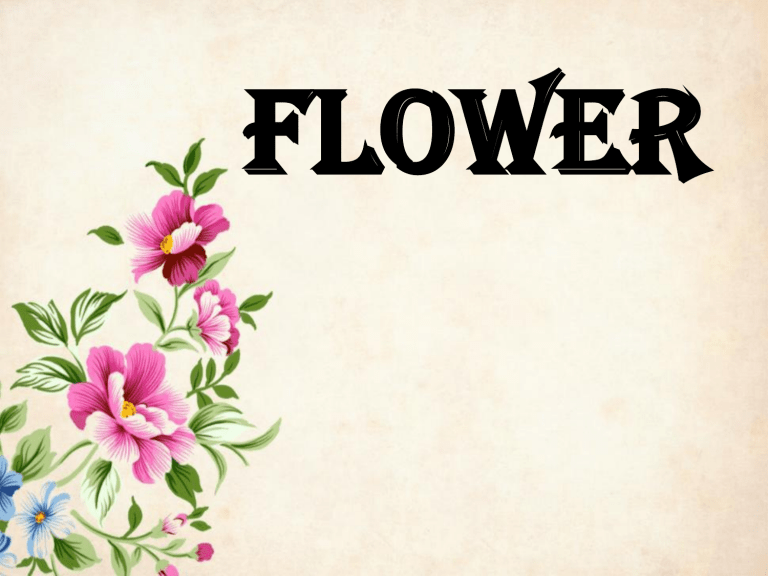 Flower Structure & Function Worksheet