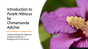 Purple Hibiscus Summary & Analysis