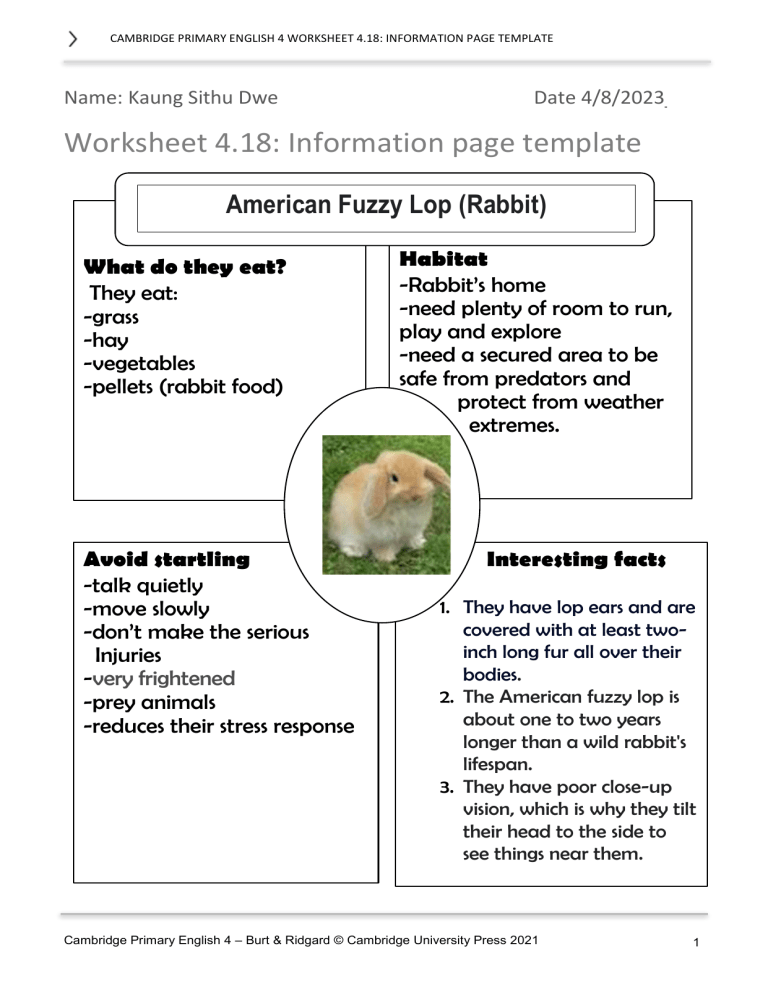 American Fuzzy Lop Rabbit Worksheet: Facts & Care